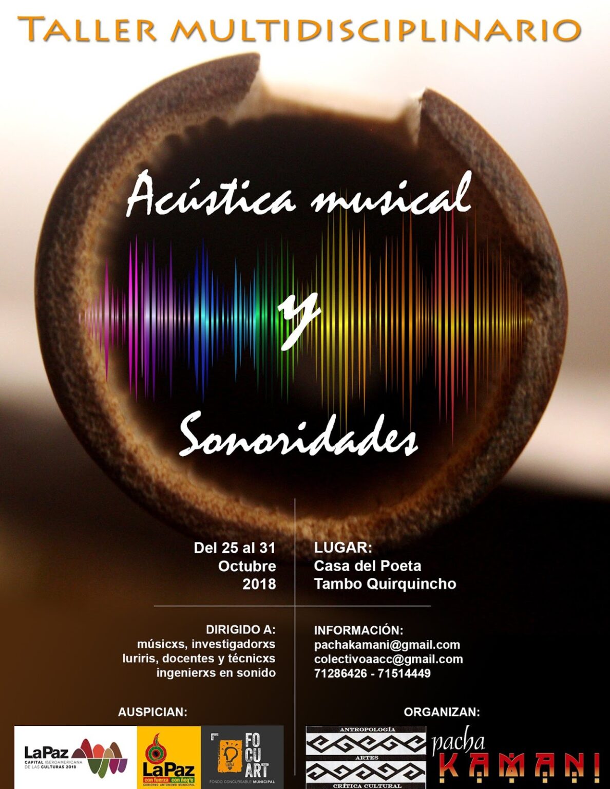 Taller multidisciplinario en acústica musical y sonoridades - PachaKamani
